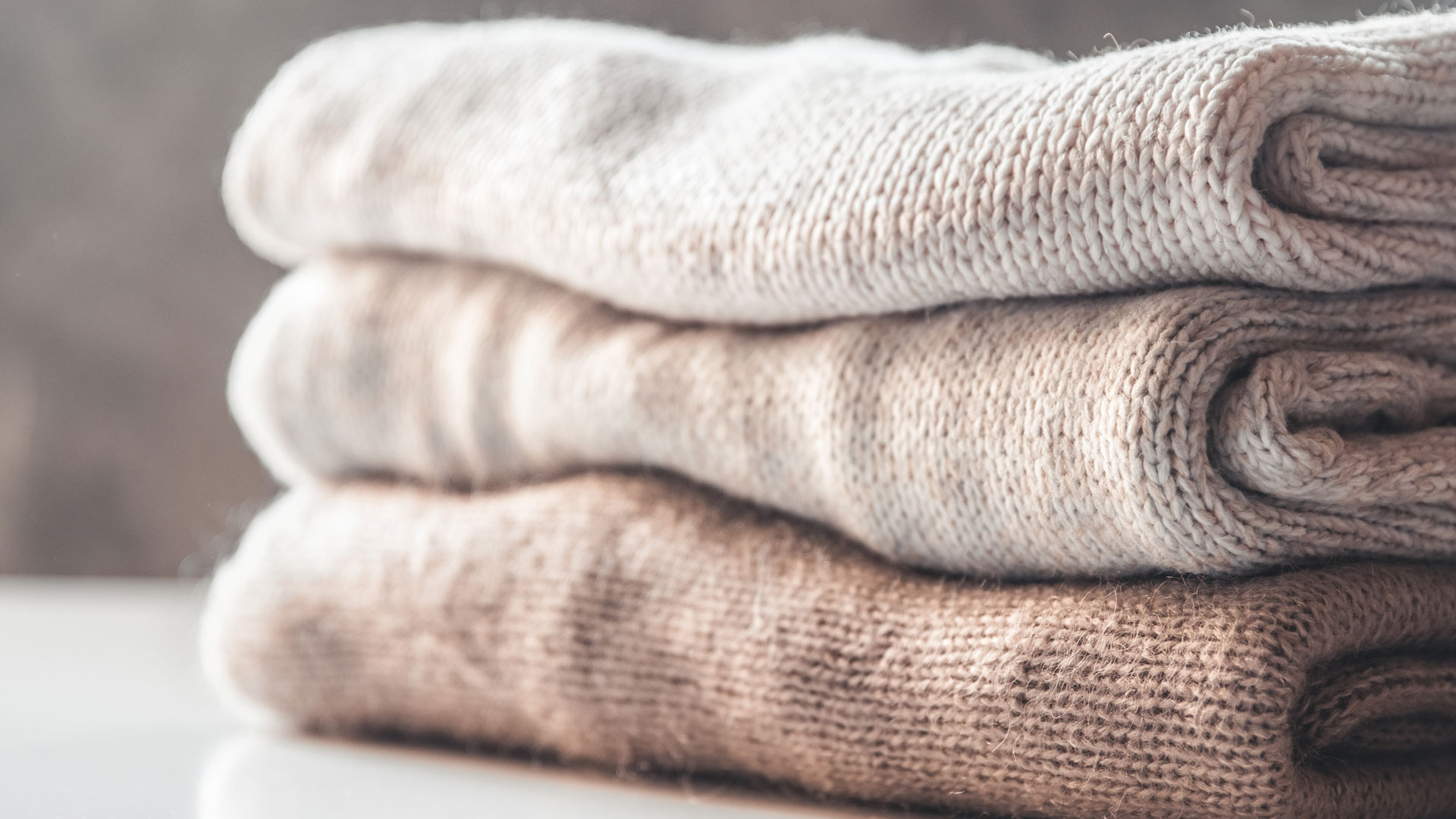 How to Save Your Clothes, Rugs, and Carpets from Moths and Carpet ...