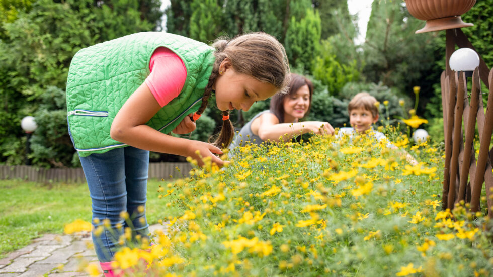 Garden Guardians: Protecting Your Plants from Late Summer Pests - Eco ...